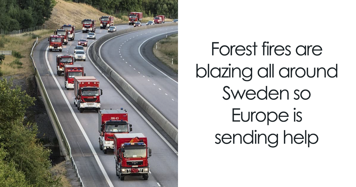 European Countries Unite And Send Their Firefighters To Help Sweden In ...