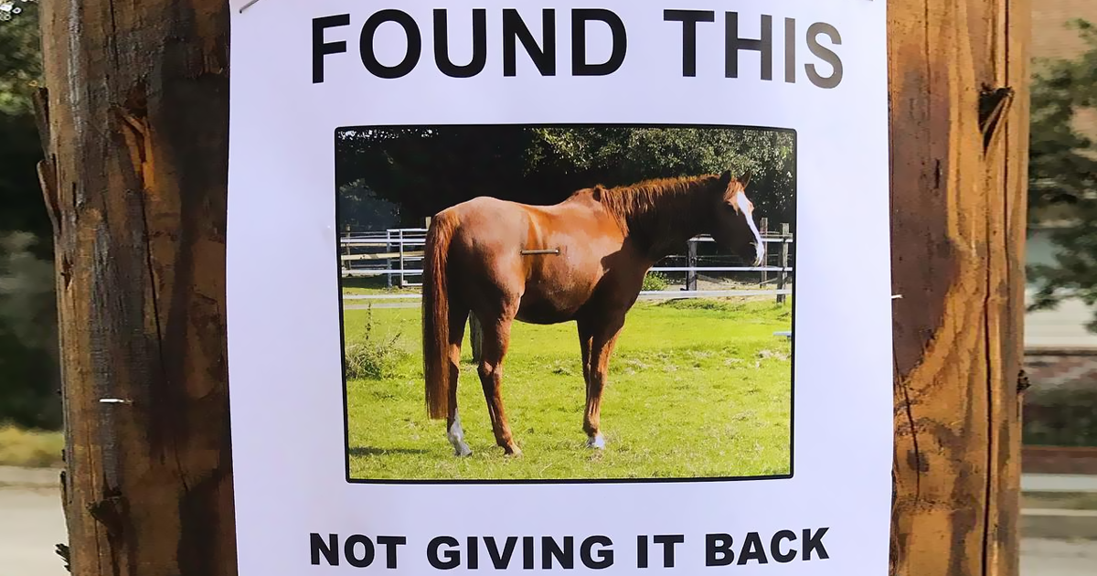 This Guy Won’t Stop Trolling His Neighborhood With Fake Posters, And ...