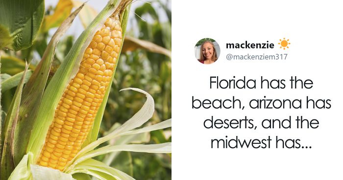 This Girl Perfectly Sums Up What Living In American Midwest Feels Like ...