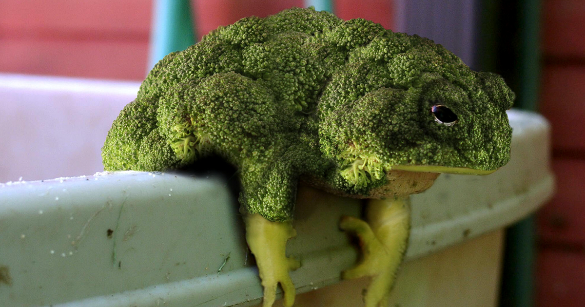 Photoshop Artists Combine Animals And Plants Into One Interesting ...