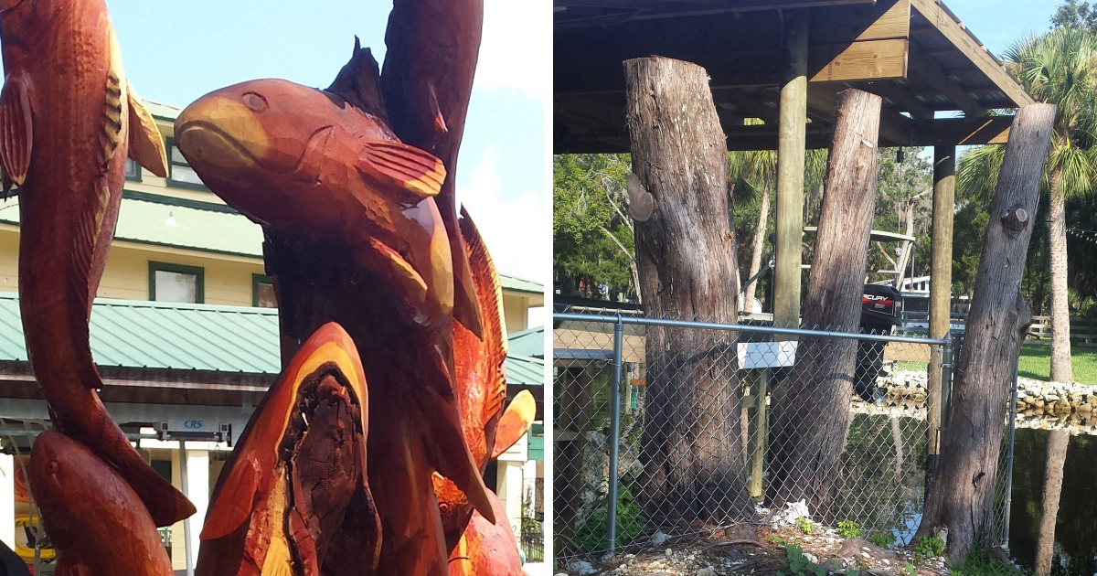 Creating Art Sculpture From Cedar Trees Damaged In A Hurricane | Bored ...