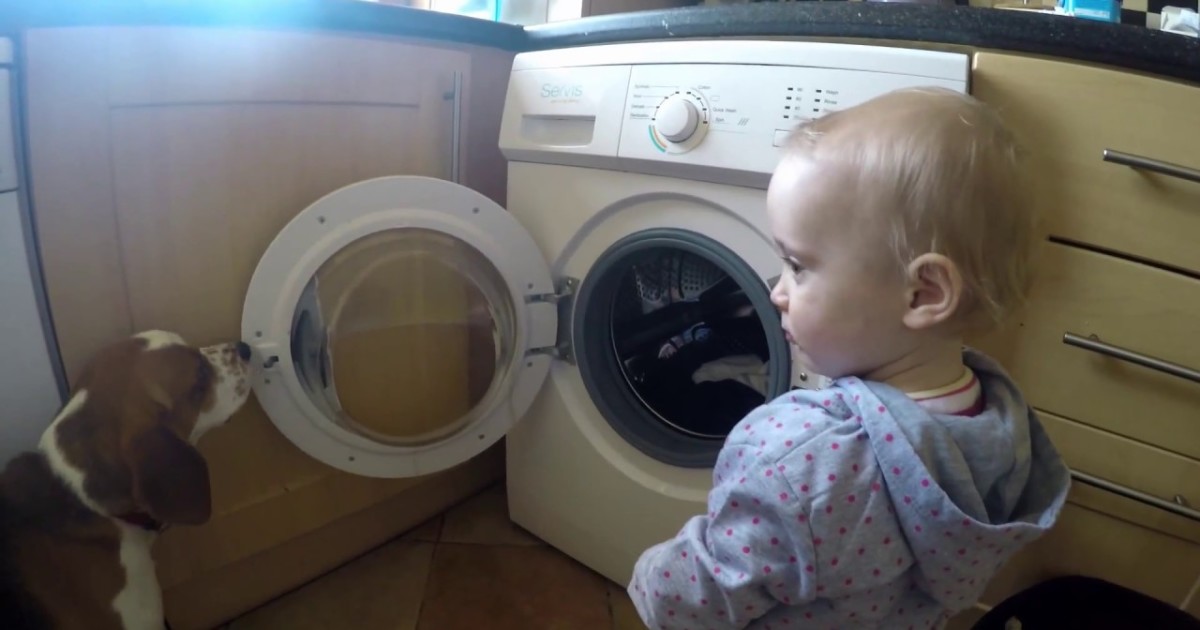 Dog And Baby Pranked By Magic Washing Machine | Bored Panda
