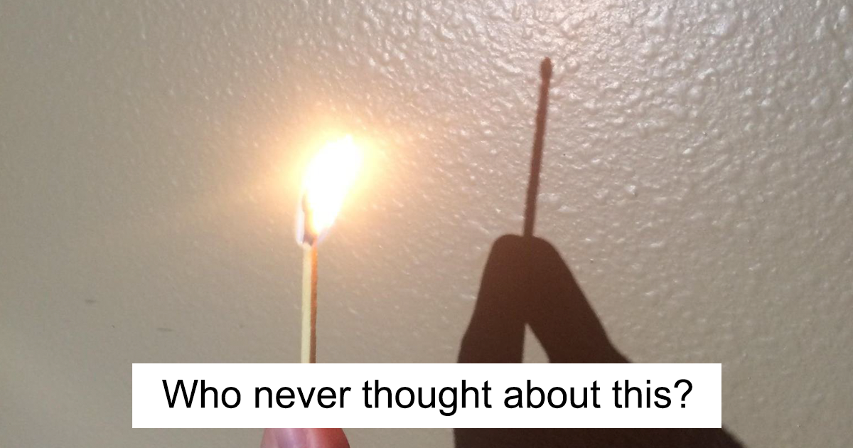 50+ Surprising Shadows That Will Make You Look Twice (New Pics) | Bored ...