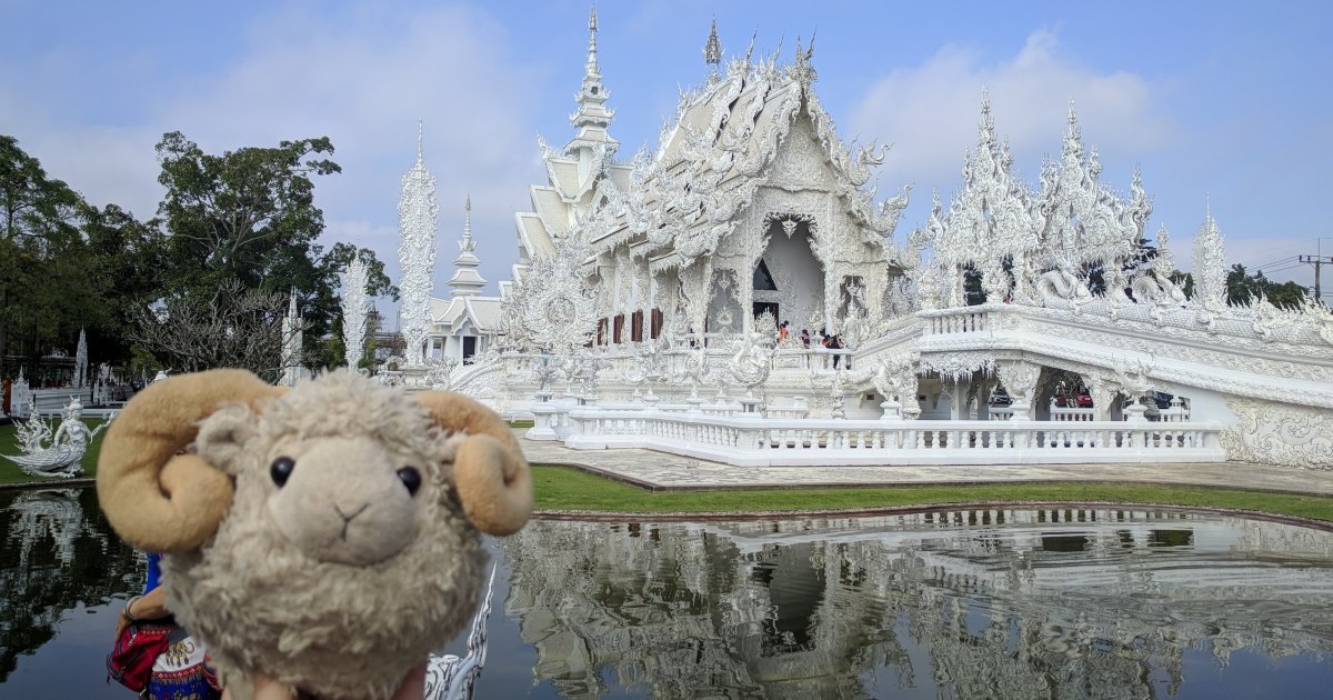 I Am The Cutest Ram Ever And I Love To Travel: Look At My Pictures ...