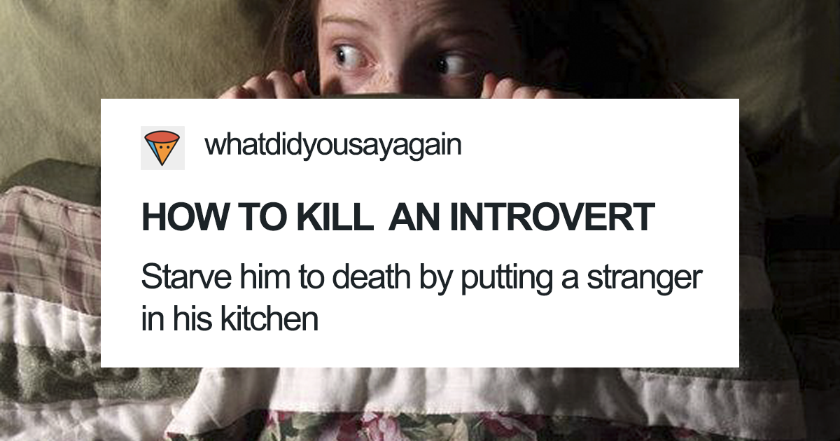 37+ Times Tumblr Made Introverts Laugh Out Loud | Bored Panda