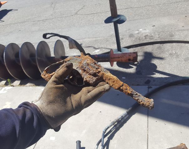 96 Times People Found The Most Unexpected Things | Bored Panda