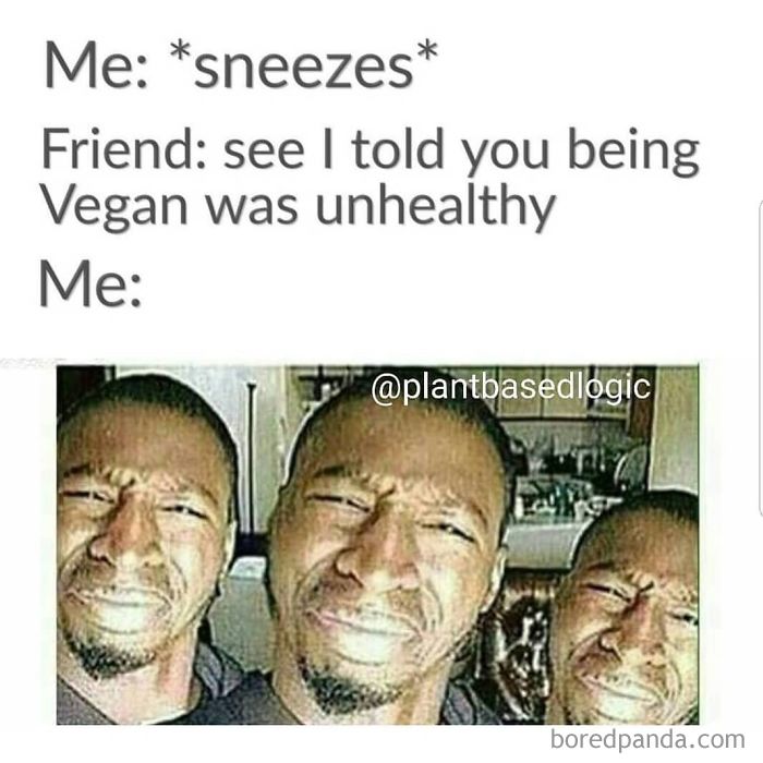 86+ Hilarious Vegan Memes | Bored Panda