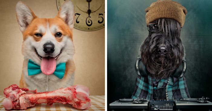 I Create Badass Human Like Characters From Dog Photos | Bored Panda