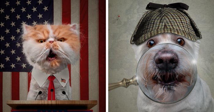 I Create Badass Human Like Characters From Dog Photos | Bored Panda