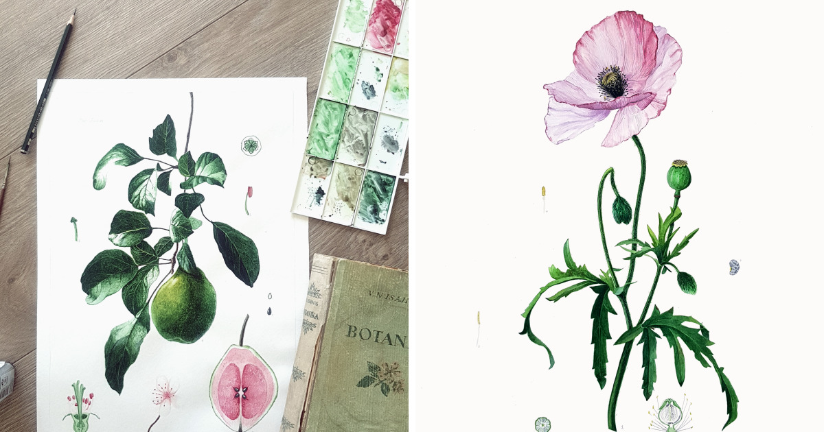 Botanical Art | Bored Panda
