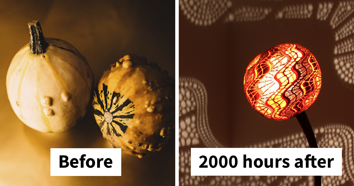 I Carved A Unique Lamp Out Of An African Fruit | Bored Panda
