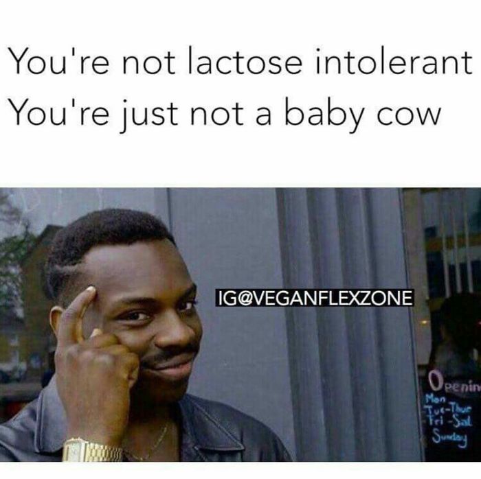 86+ Hilarious Vegan Memes | Bored Panda