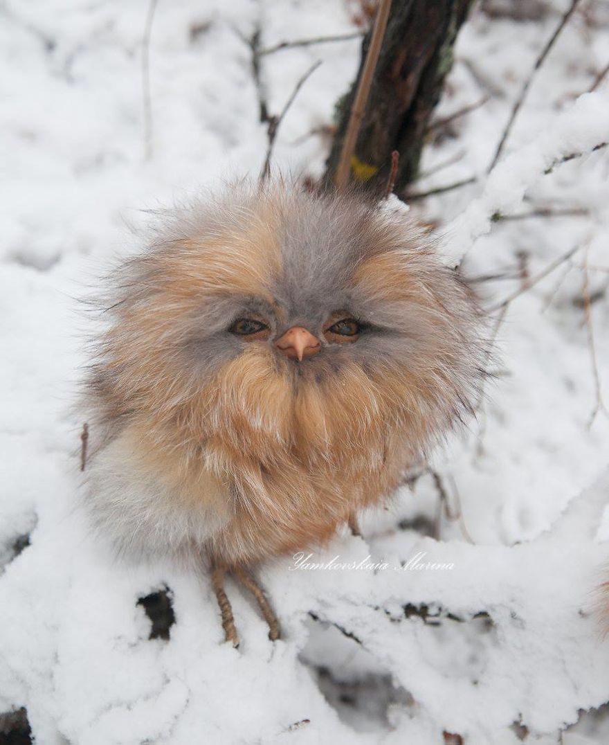 Artist Makes Incredibly Realistic Owl Figures And It’s Impossible Not ...