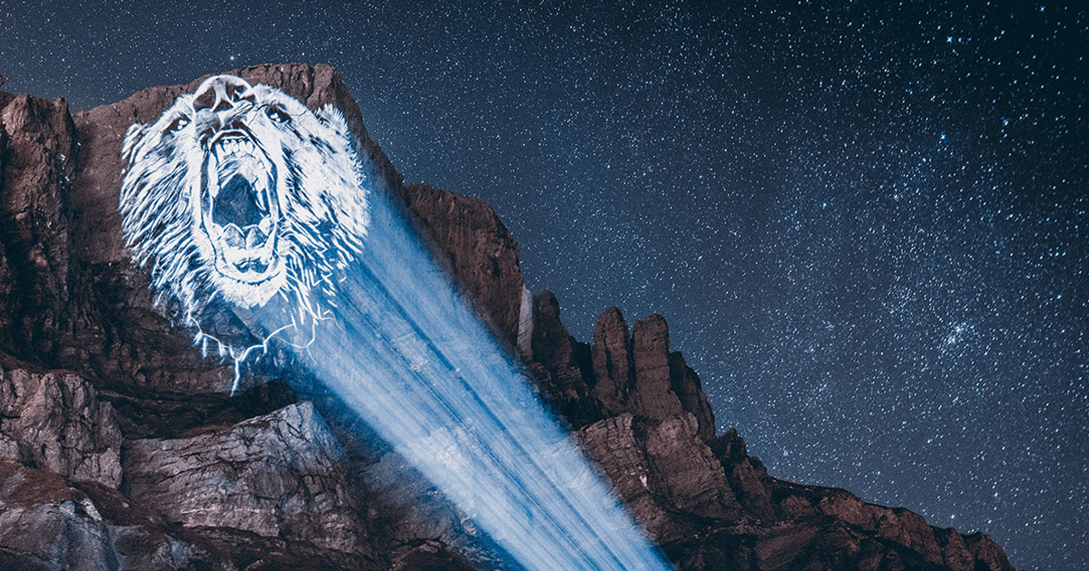 I Used A Powerful Projector To Create My ‘Crying Animals’ Series, That ...