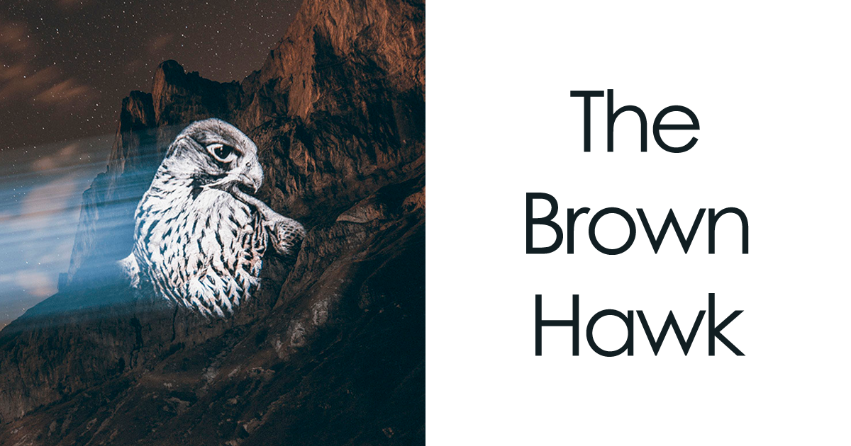 I Used A Powerful Projector To Create My ‘Crying Animals’ Series, That ...
