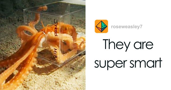 This Tumblr Thread Shows That We May Have Underestimated The ...