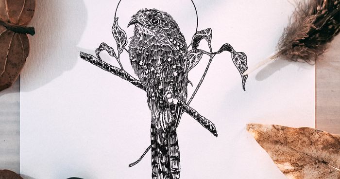 I‘ve Been Drawing Birds For 3 Years, Here Are The 10 Benefits I‘ve ...