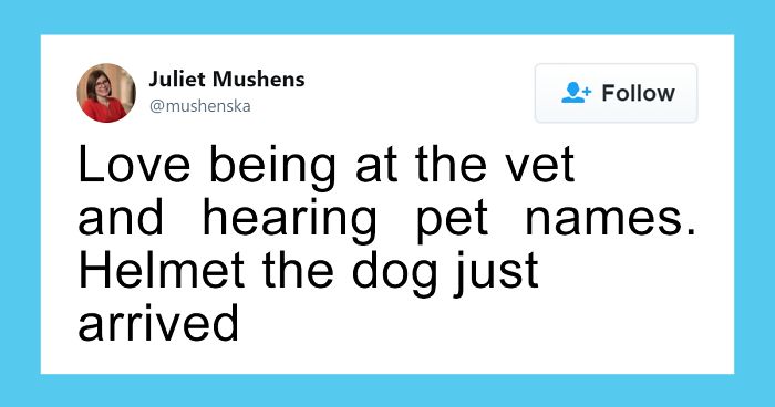 46 People Share The Funniest Pet Names And They’re Beyond Creative ...