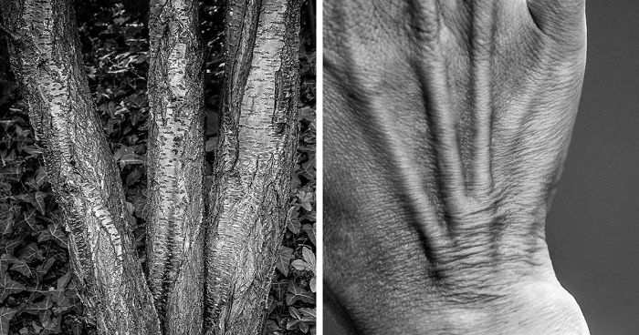 I Show The Beauty Of The Human Body By Combining It With Elements Of ...