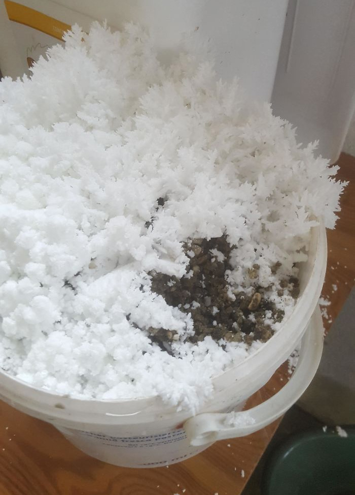 105 Times People Had No Idea What They Were Looking At, But The ...