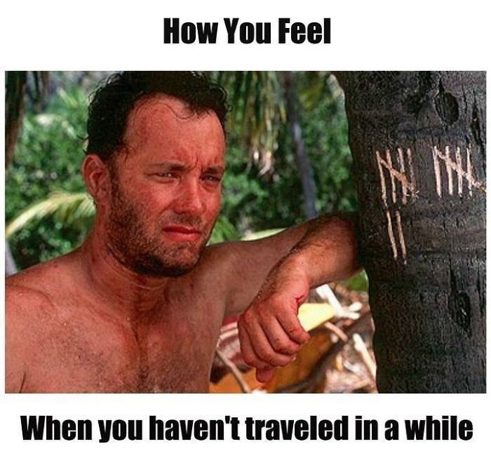 98 Of The Best Travel And Vacation Memes Ever | Bored Panda