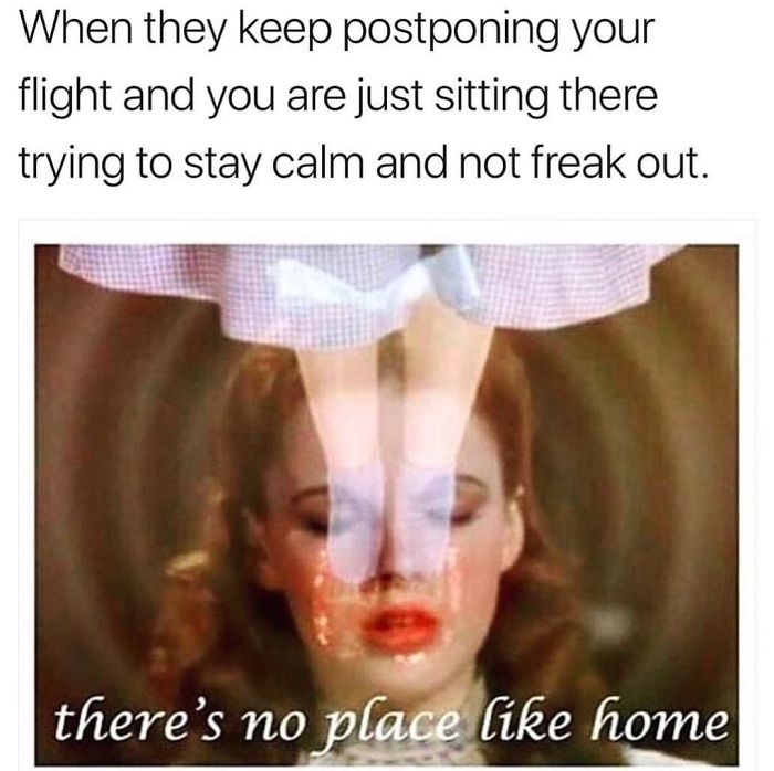 98 Of The Best Travel And Vacation Memes Ever | Bored Panda