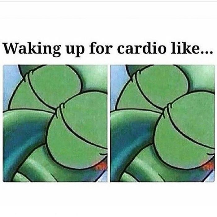 118 Weight Loss And Diet Memes That Will Burn Calories With Laughter ...
