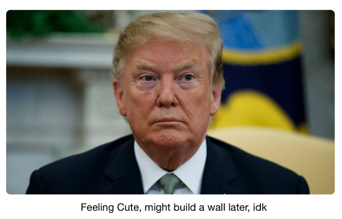 45 Of The Cutest Responses To The ‘Feeling Cute’ Challenge So Far ...