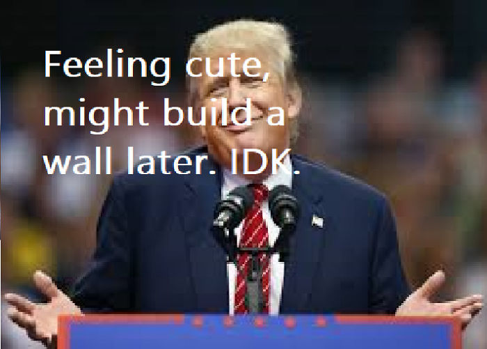 45 Hilarious Responses To #FeelingCute Challenge | Bored Panda