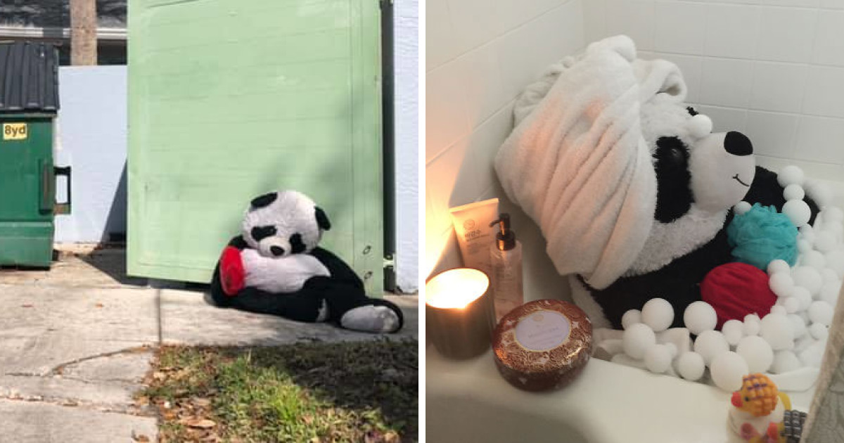 The Tale Of A Heartbroken, Homeless Panda Whose Life Was Transformed By ...
