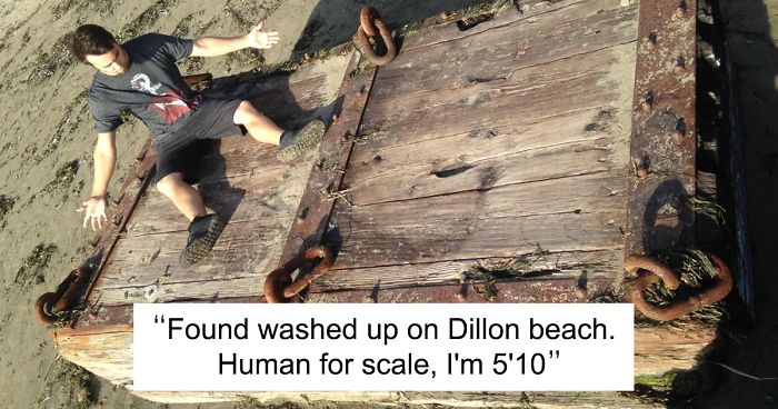 35 Unexpected Beach Findings That Sometimes Look Like They Belong In ...