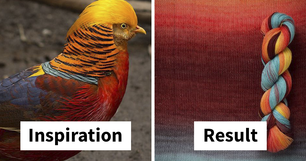 We Apply Nature’s Design Solutions To Create Unique Clothing | Bored Panda