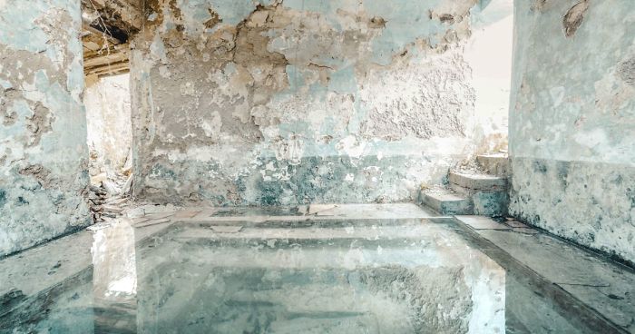 I Found Places Where Nature Takes Over Places Abandoned By Humans ...