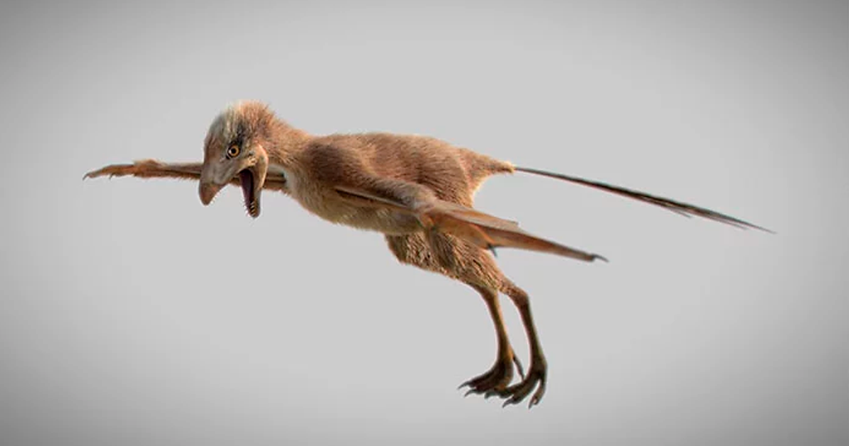 Scientists Just Discovered 163 Million-Year-Old Dinosaur Remains And ...