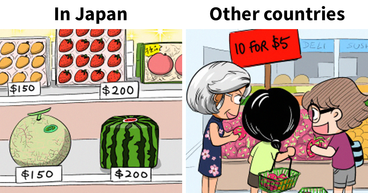 I Show The Cultural Differences Between Japan And Other Countries (60 ...