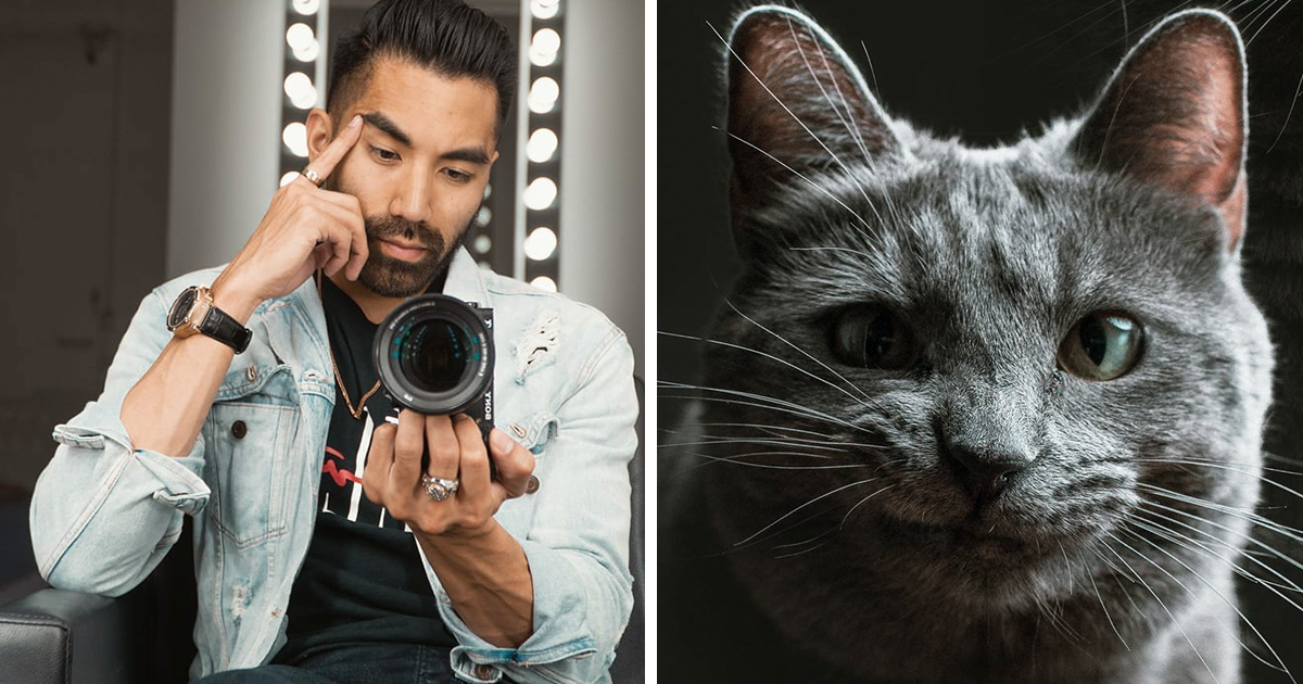 Friend Asks A Photographer To Babysit Their Cat, Gets 10 Purrfect ...