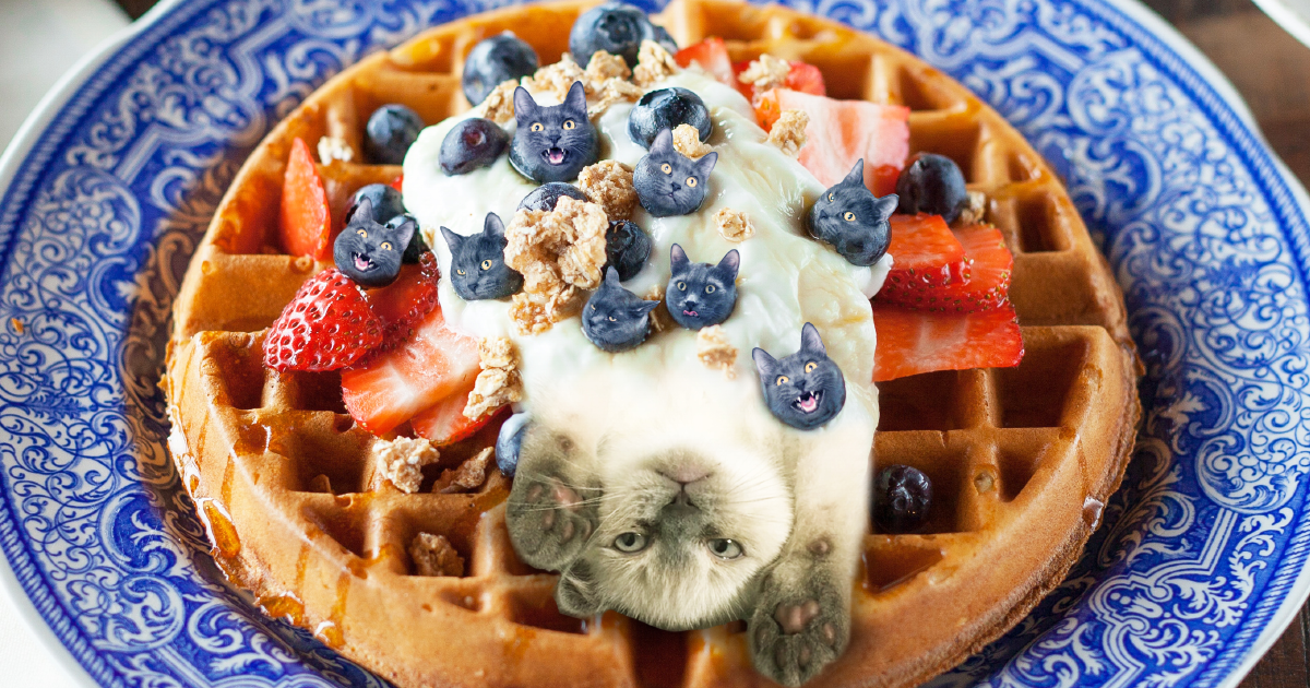 Animal Food Photoshop