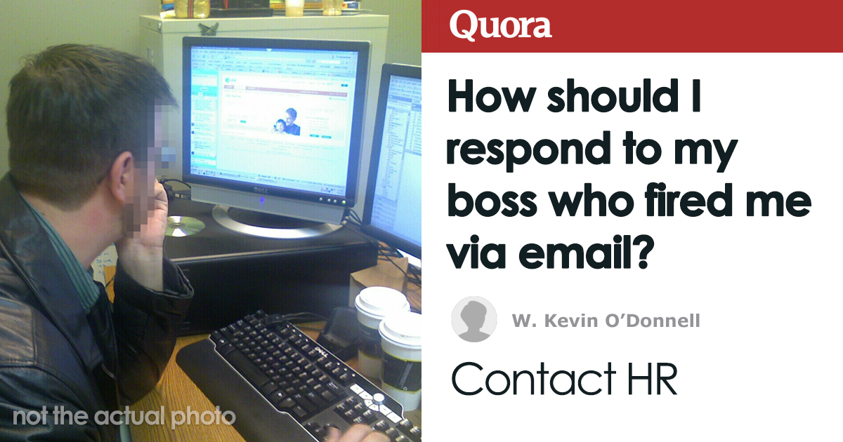 Person Asks How To Respond To Boss That Fired Them Via Email, Gets 9 ...