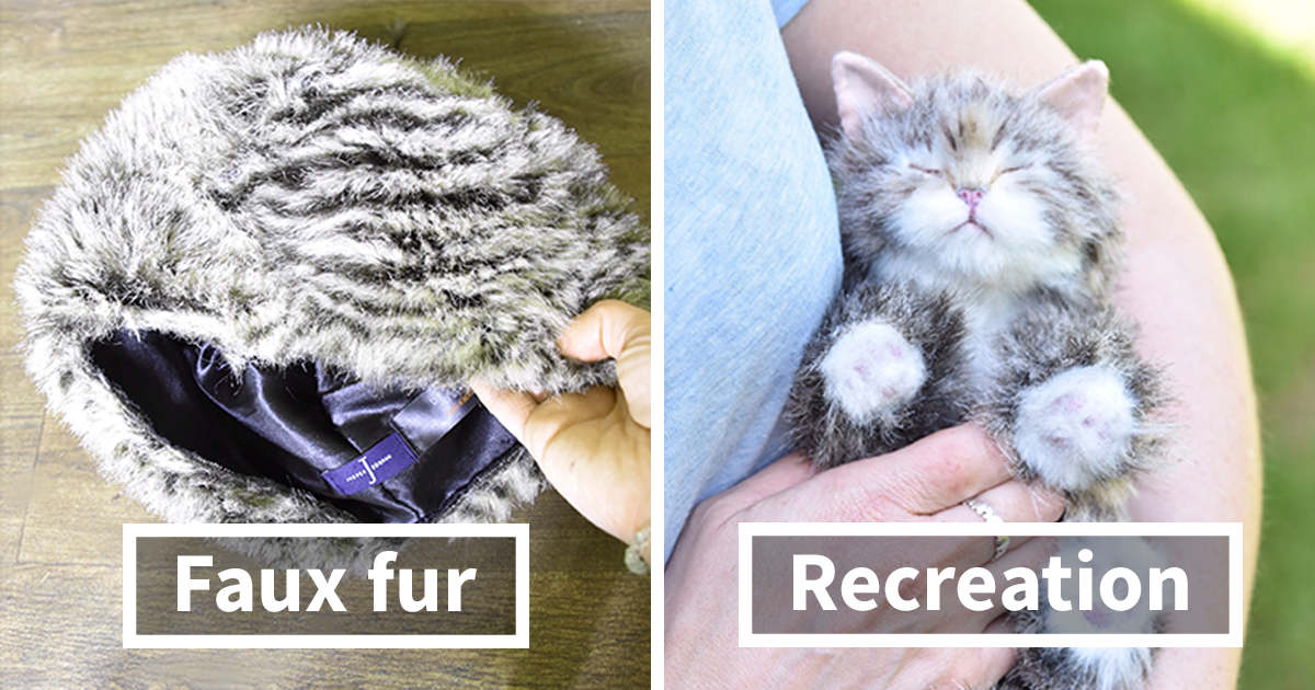 My 19 Life-Like Animal Creations From Upcycled Faux Fur Fabric | Bored ...