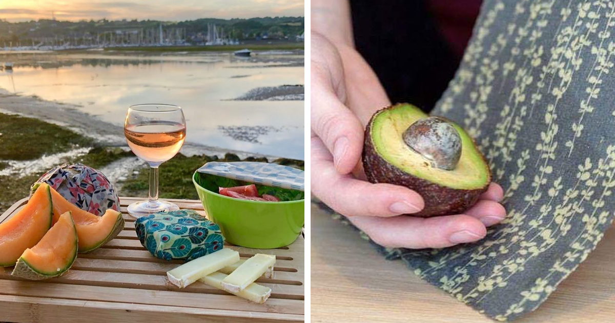 This 24-Year-Old Created Organic Zero-Waste Food Packaging To Replace ...