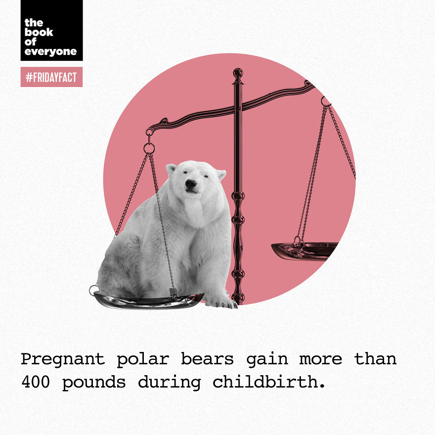 Interesting Facts About The World You Probably Didn’t Know (40 Pics ...