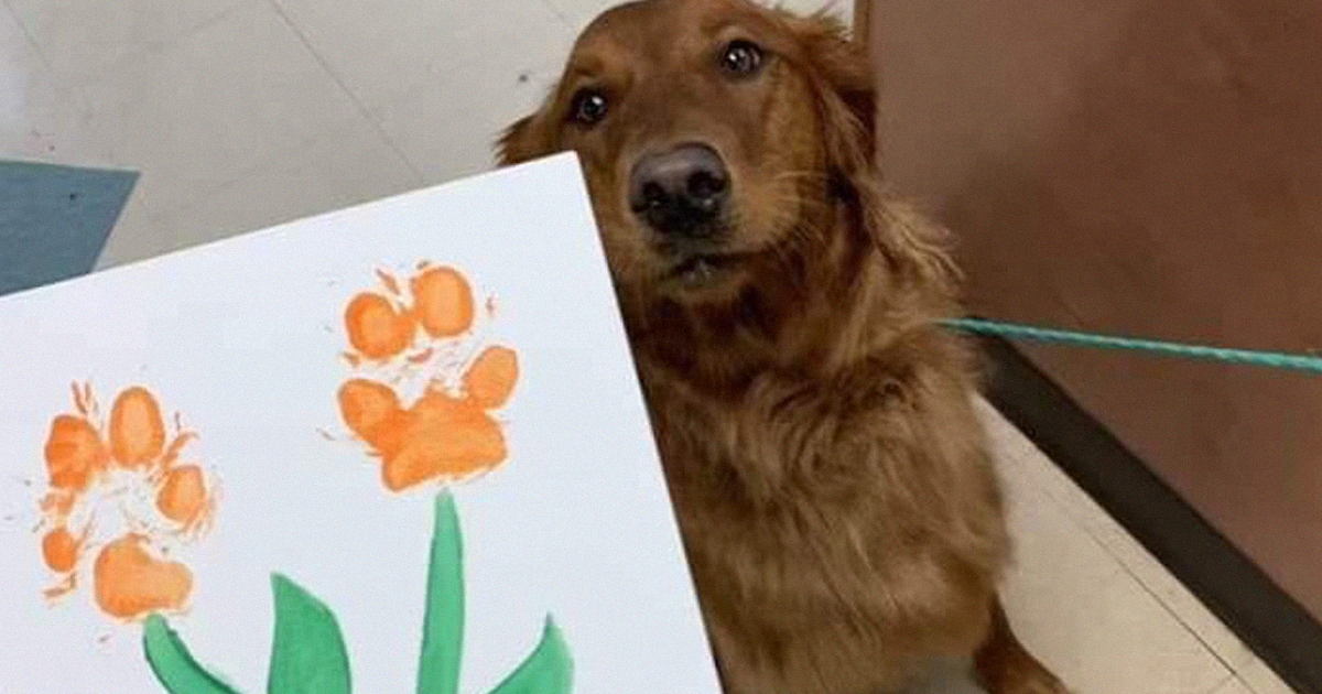 75 Wholesome Dog Posts That Will Hopefully Make Your Day (New Pics ...