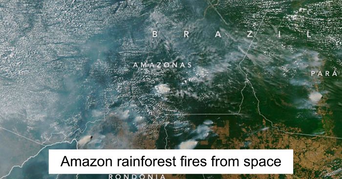 Amazon Rainforest Is On Fire And The Smoke Can Be Seen From The Space ...