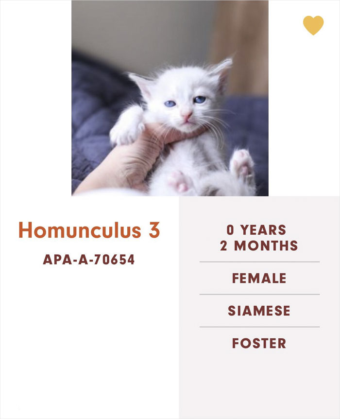 Someone At This Animal Shelter Has Been Giving The Most Epic Names To Someone At This Animal Shelter Has Been Giving The Most Epic Names To