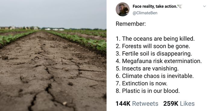 Bored Panda - The Only Magazine For Pandas