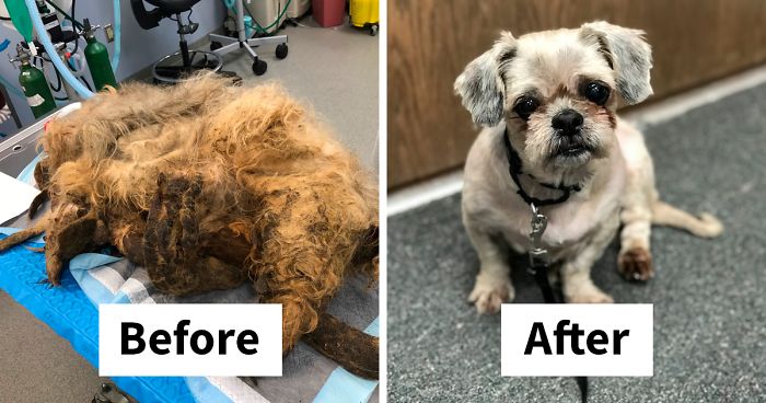 Animals | Bored Panda