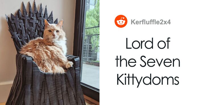 Bored Panda - The Only Magazine For Pandas