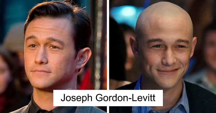 Bored Panda - The Only Magazine For Pandas