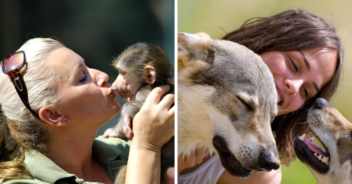 People Show How Animals Should Be Loved | Bored Panda