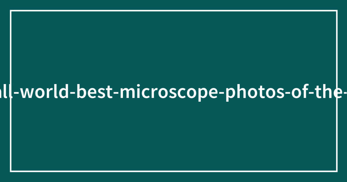 20 Winners Of The Nikon Small World 2019 Competition Reveal The ...